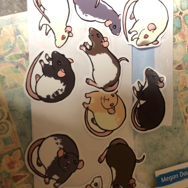 Cute Fancy Rat Stickers Pack of 8 to 10 Made to Order - Etsy