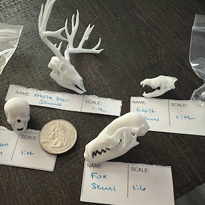 Human Skeleton HO Scale 1:87 Miniature for Horror Diorama, Dollhouse ...