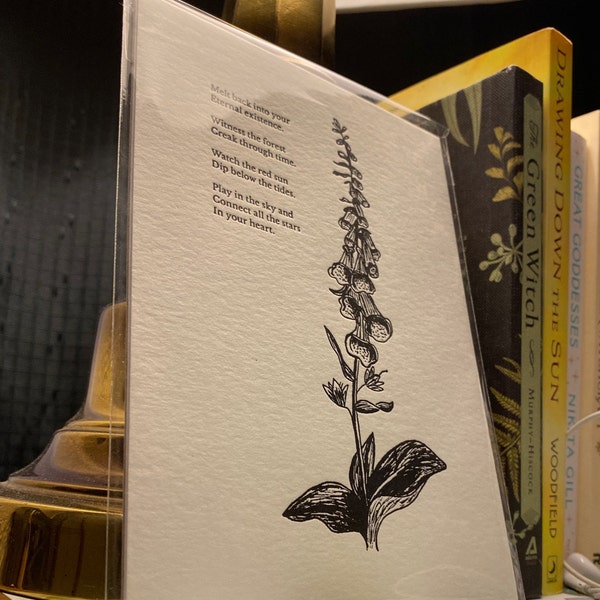 Transformation Flower Essence Blend Guidebook and Plant Ally Talisman ...