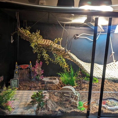 Jurassic Park Entrance Gate Decoration for Reptile Terrarium Lizard ...