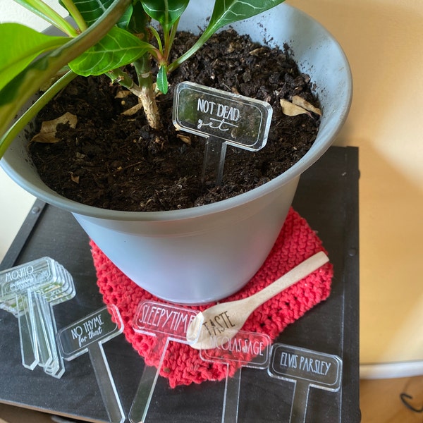 DIGITAL FILE - Funny Cutting Board Sayings for Engraving - Svg - Png ...