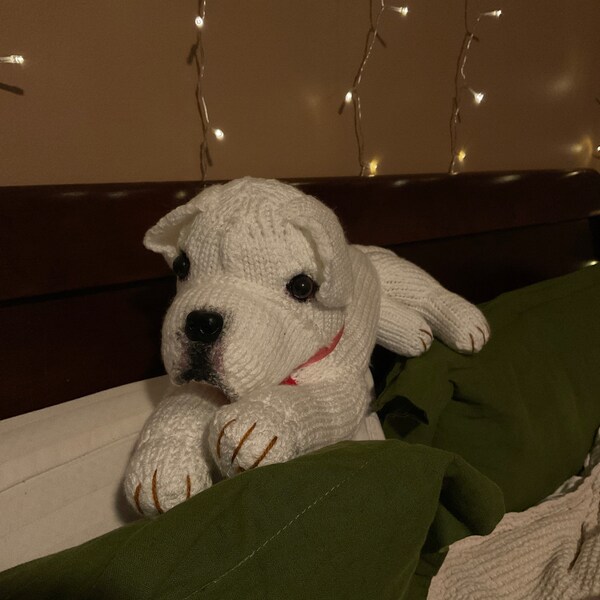 Boxer Dogs, Boxer Dog Gifts, Boxers Lovers Gift, Gifts for Boxer Dog ...