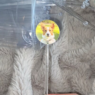 Custom Picture Stickers, Photo Stickers, Circle Round Image Stickers ...