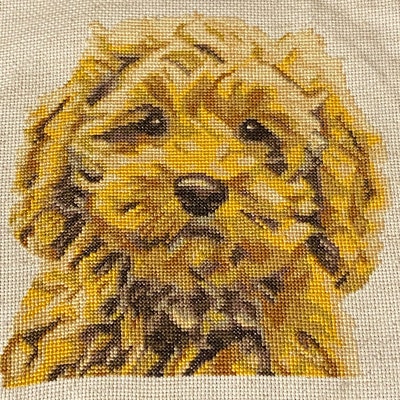 Cockapoo Cross Stitch Pattern Digital Format PDF, Dog Portrait Cross ...