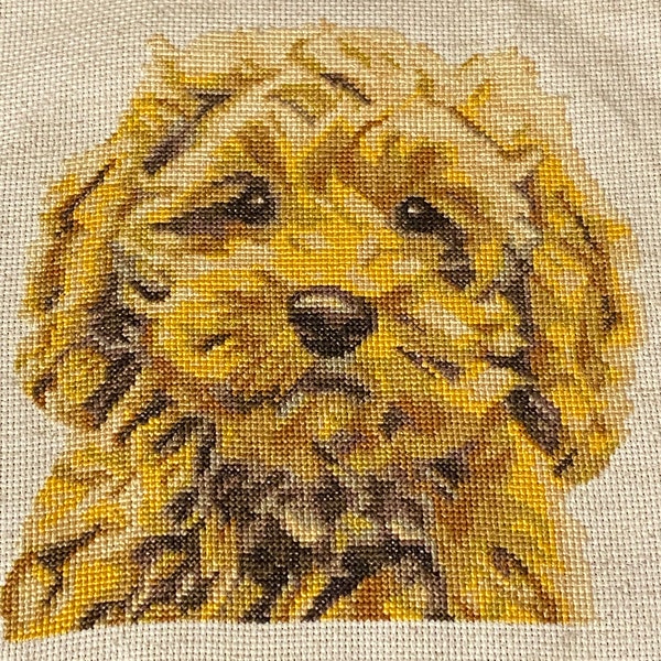 Cockapoo Cross Stitch Pattern Digital Format - PDF, Dog Portrait Cross ...
