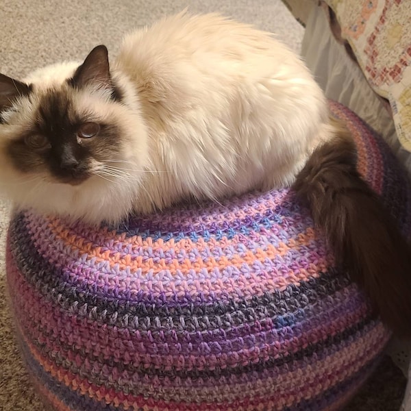 Papercraft Capybara Template - Printable PDF - Etsy