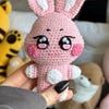 Ddeongbyeoli Aniteez Amigurumi Crochet Pattern PDF - Etsy