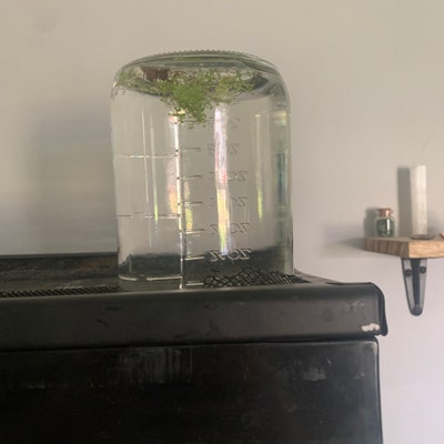 Adjustable Betta Hoop Betta Olympics Training Beginner - Etsy