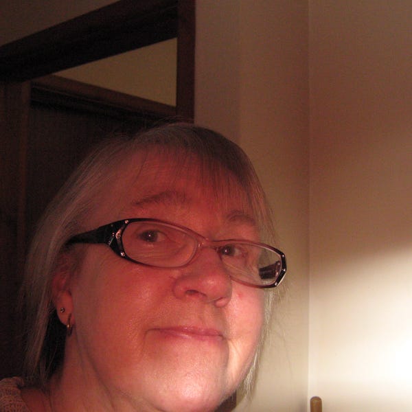 2026 Diary A5 Week to View 2026 Diaries Full Year Organiser Calendar ...