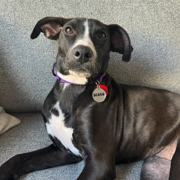 Personalized LED Light up Name Keychain USA Made Color Changing ...