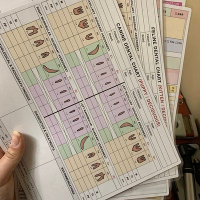 Veterinary Anatomy Flashcards, Veterinary Pocket Book, Veterinary ...