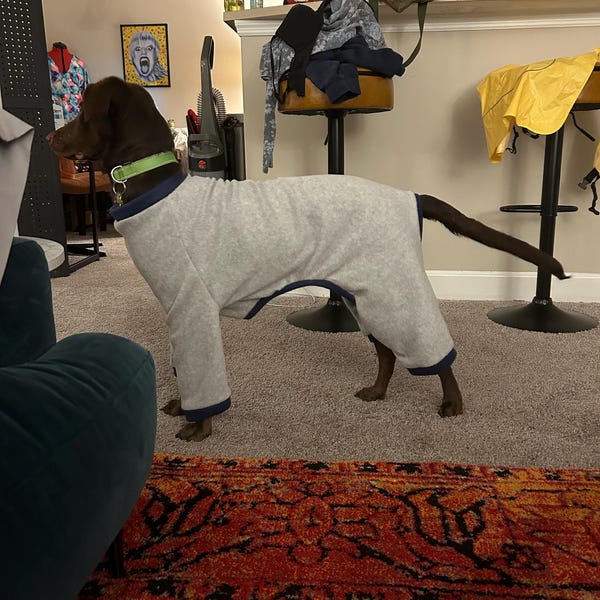 Dog Pajamas Sewing Pattern PDF Download | Large Dog 3 Pack | Large Dog ...