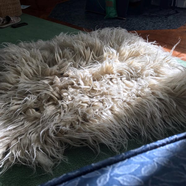 Shaggy Wool Rug, Natural Tufted Area Rug, Modern Scandinavian Wool Rug ...