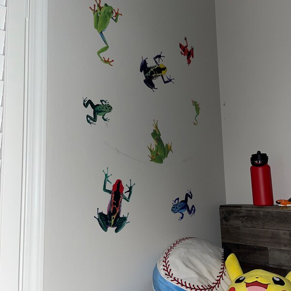 Realistic Watercolor Colorful Tree Frog Wall Decals - Etsy