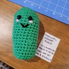 PATTERN ONLY, Easy Pickle Crochet Pattern, Instant DOWNLOAD - Etsy