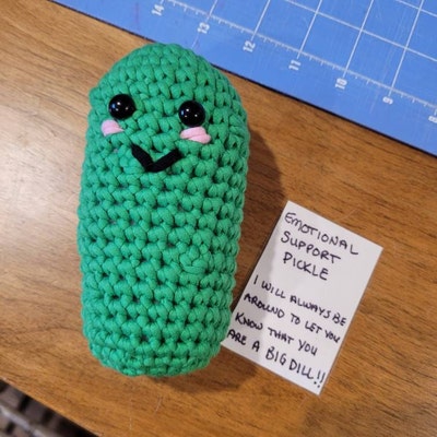 PATTERN ONLY, Easy Pickle Crochet Pattern, Instant DOWNLOAD - Etsy