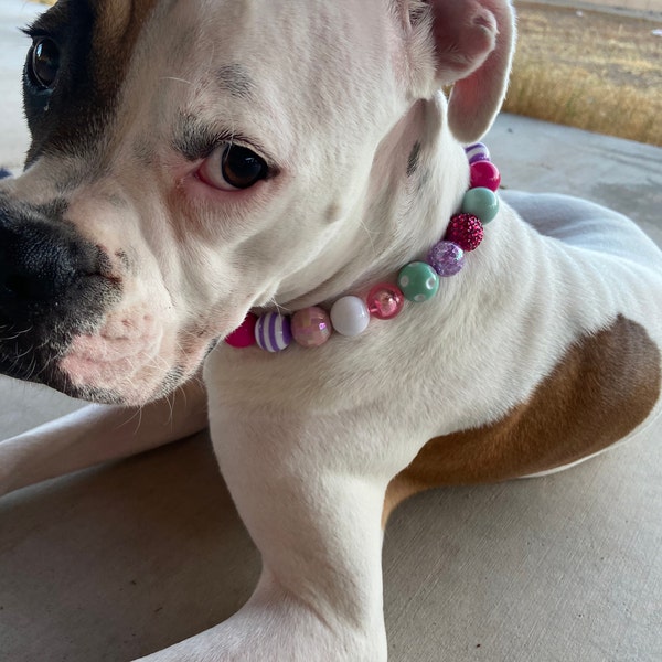 Customized "peppermint Patty" Pet Necklace - Etsy