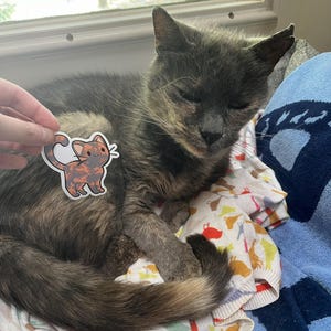 Tabby Cat Sticker Handmade Vinyl / Brown Tabby / Grey Tabby / Orange ...