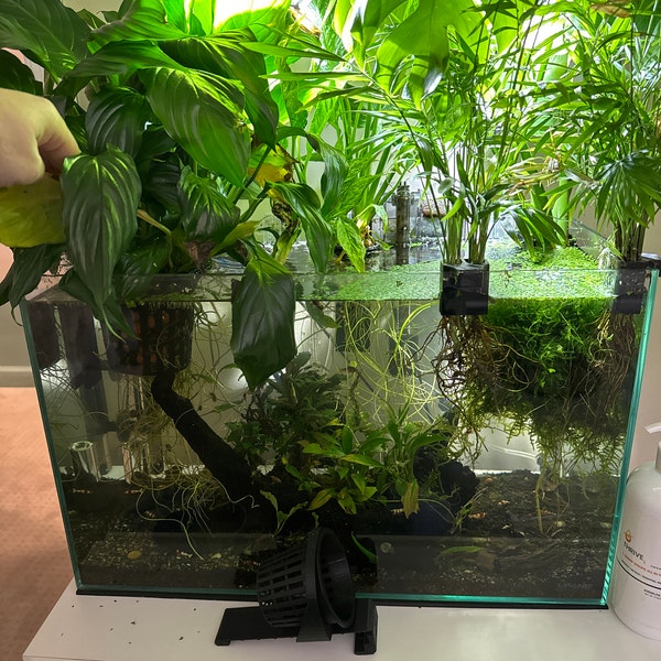 Poth-o-carry® Solo - Net Pot Holder for Your Aquarium - Etsy