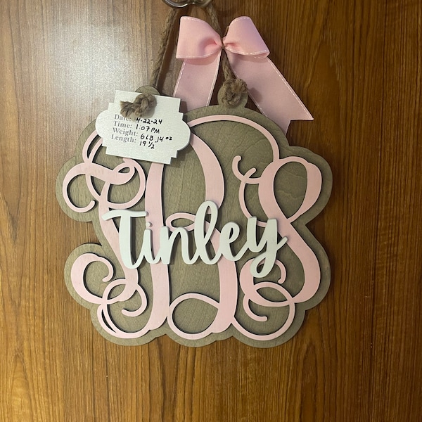 Baby Girl Hospital Birth Stat Sign | Hospital Door Hanger | Newborn ...