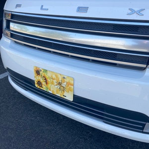 Cool Punk Checkered Skull License Plate Unique Car Accessories for Him ...