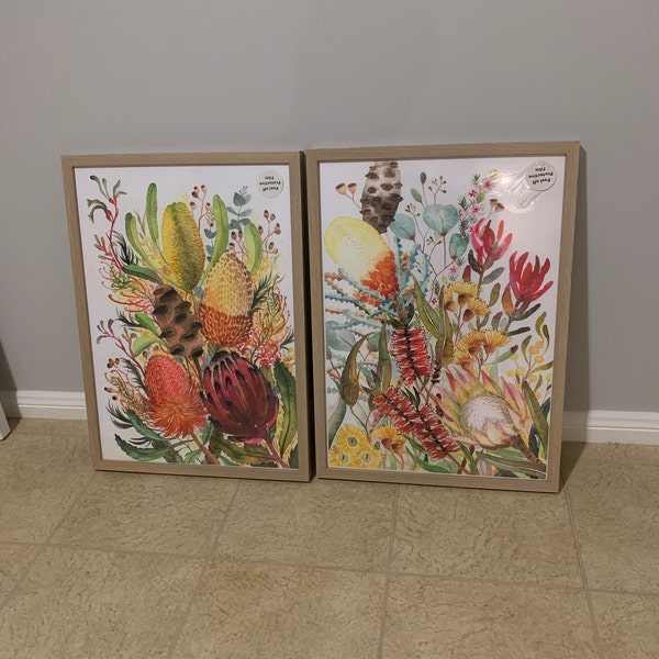 Australian Native Flower Art Prints, Aussie Flora Wall Art Set of 2 ...