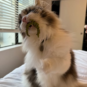 Kitty Lizard Articulated Cat Toy - Etsy