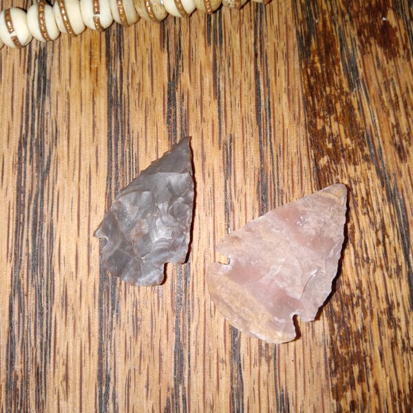 Ancient Fossilized Corax Shark Dinosaur Teeth - Shark Teeth Fossil ...