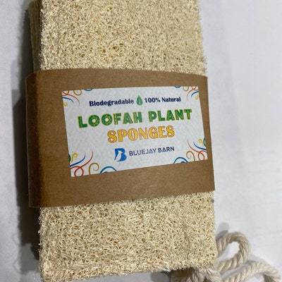 Portugal Cork Table Mats Placemats Set of 4 Rectangular Stain Heat ...