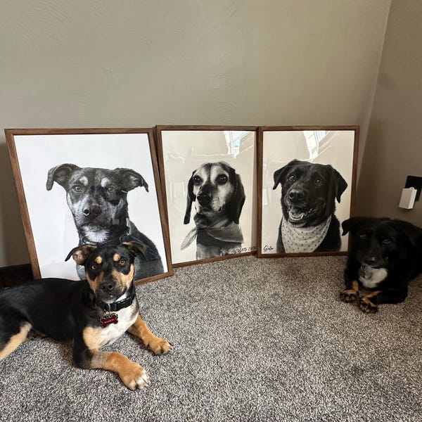Custom Dog Portrait: Pet Memorial Art - Etsy