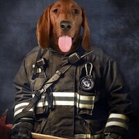Custom Firefighter Pet Portrait . Custom Firefighter Animal Portrait ...
