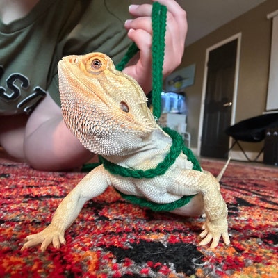 Rat Name Cage Decal for Rat Cage Custom Sign for Rat Cage Accessory for ...