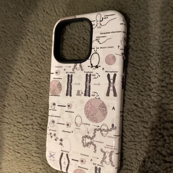 Quantum Physics Mug - Equations, Science Gift, Quark Mug, Physics ...