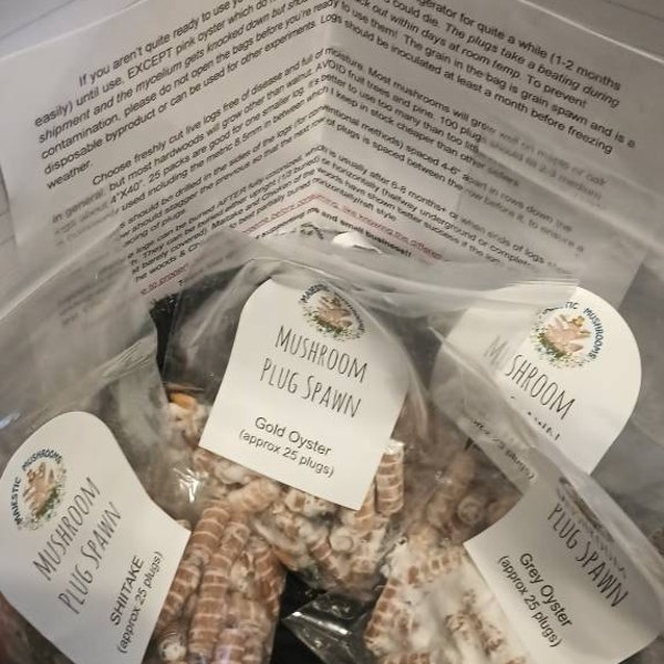 Shiitake Mushroom Plug Spawn 500x - FREE USA Shipping - Etsy