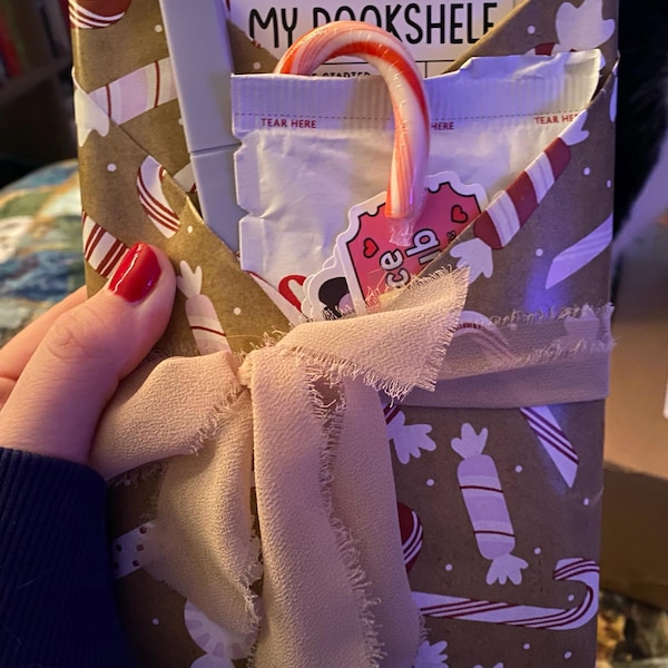 Cozy Winter Wonderland Blind Date With a Book Box and Blanket | Bundle ...