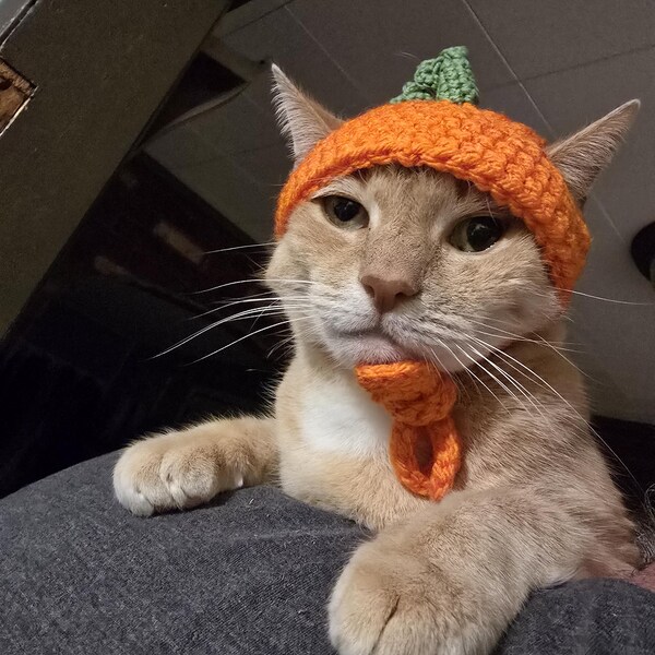 Alien Cat Costume, Toy Story Alien Cat Hat, Crochet UFO Cat Hat - Etsy