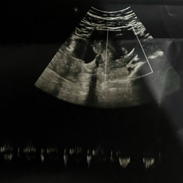 Editable Vending Machine Money Panel Template, Vending Machine Money ...