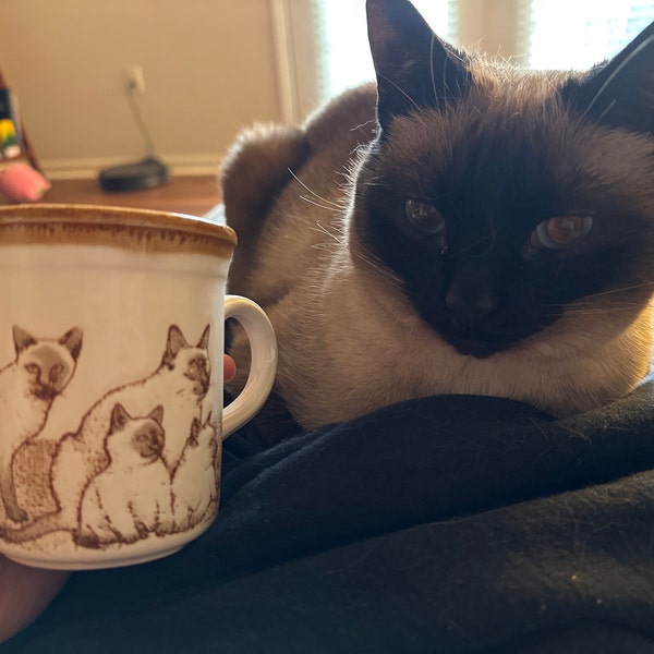 Vintage Brass Compact / Pick a Compact Vintage Makeup Compact Vtg Brass ...