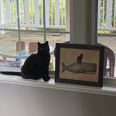 Black Cat Riding Whale Vintage Collage Print Tea Stain Cat Art Cat ...