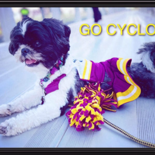 We Are EXTRA Thankful for You, Thanksgiving Treat Tag, Gift Tag, Holiday Thank You Tag, Teacher ...