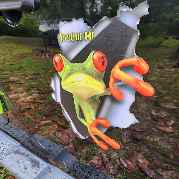 Frog Car Decal, Frog Magnet, Frog Sticker, Frog Decal - Etsy