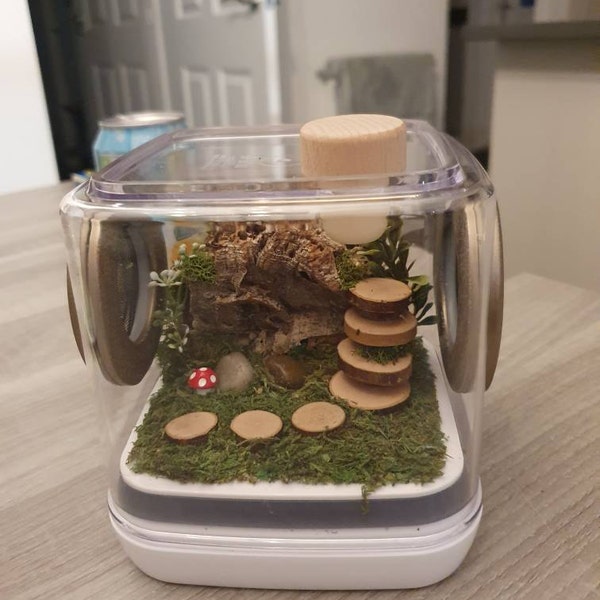 Jumping Spider Enclosure, 5x5x5 Spider House, Spider Habitat, Arachnid ...