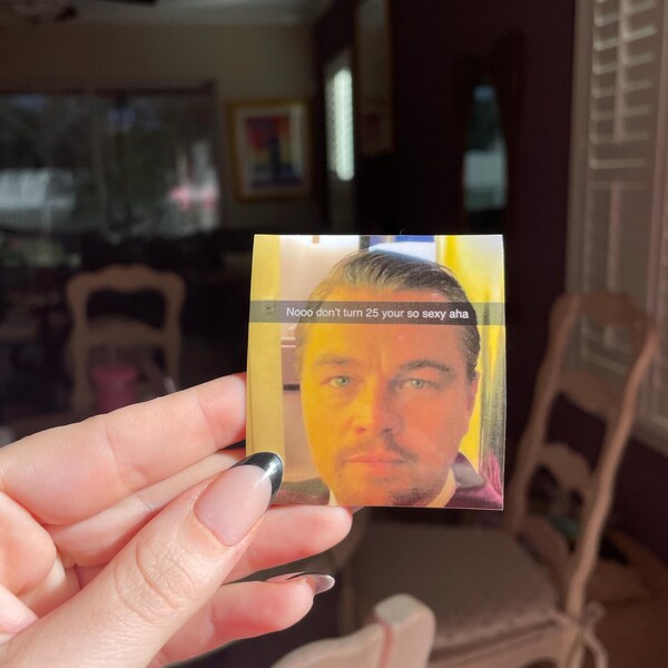 Lindsay Lohan Mugshots Vinyl Sticker - Etsy