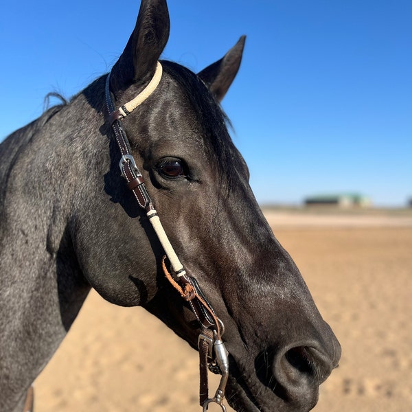 Handmade Bosal Set, 40 Plaits Rawhide Natural & Black Bosal Set, Bosal ...