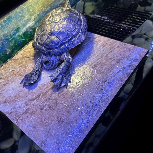 Tank Topper Turtle Dock Sits on Top of Your Aquarium and Fits 18-19 ...