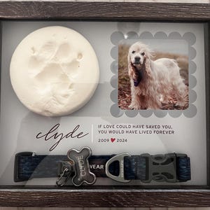 Pet Memorial Paw Print Harness Holder Shadow Box, Pet Loss Frame, Clay ...
