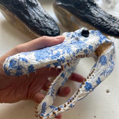 ALLIGATOR BONE DUST Voodoo, Hoodoo, Wicca, Gothic, Oddity - Etsy