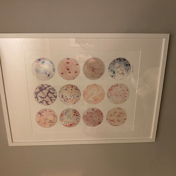 Microbe Collection, Bacteria, Bacteria Art, Science, Science Art ...