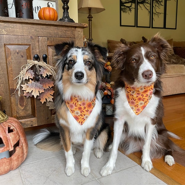 Fall Dog Bandana Fall Floral Bandana Dog Gift Thanksgiving Dog Bandana ...