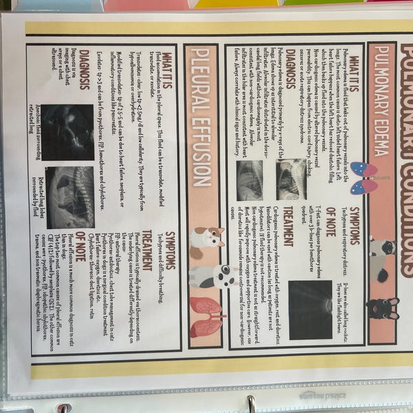 Veterinary Anesthesia Cheat Sheets Vet Tech Notes Vet Nurse Anesthesia ...